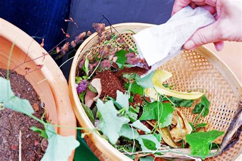 Pouring Leftover Food Leaves And Organic Compost Bin To Create