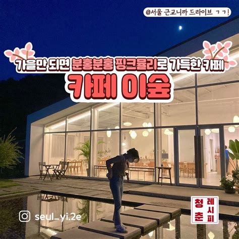 청춘 레시피 가을만 되면 분홍분홍한 핑크뮬리로 가득해지는 천안 카페 이숲 💓 낮밤 모두 인생샷