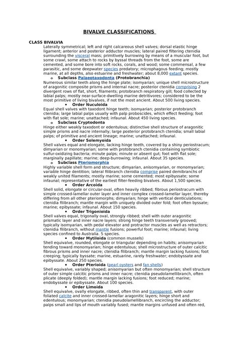 Bivalve Classifications Bivalve Classifications Class Bivalvia