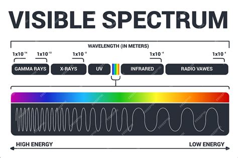 Premium Vector Visible Light Diagram Color Electromagnetic Spectrum Light Wave Frequency