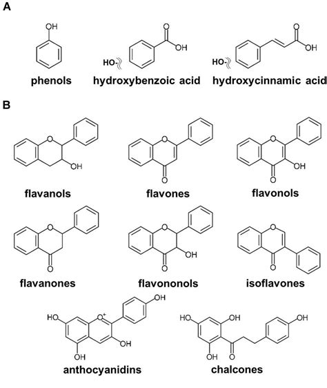 Higher Polyphenol Intake Is Robustly Associated With Lower All Cause Mortality And Reduced Risk