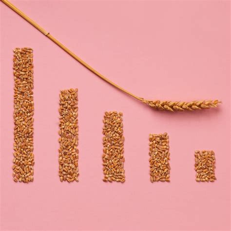 Crop Yields Increased Kaggle