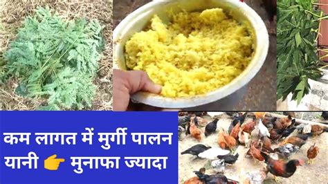 Low Cost Poultry Farm।।low Cost Murgi Farm।।low Cost Desi Murgi Farm।।desi Murgi Palan Kaise