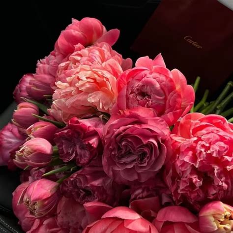 Its Fajer ️ Alkhayarin • Threads Say More