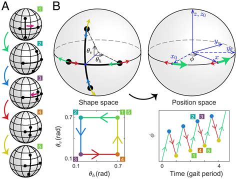 Cyclic Movement Example