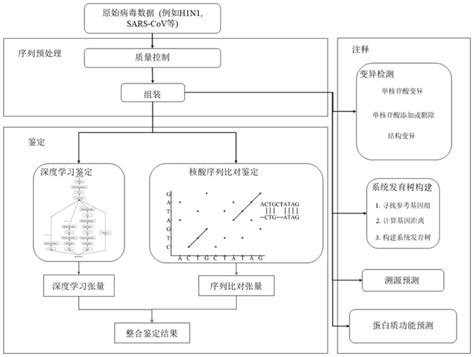 Automatic Analysis Method And System For Virus Sequencing Sequence Eureka Patsnap
