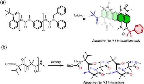 Inter Monomer Interactions In Configurationally Achiral Helices A Download Scientific