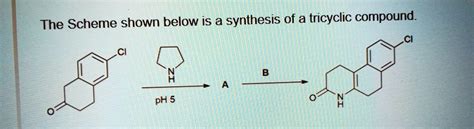 The Scheme Shown Below Is A Synthesis Of A Tricyclic