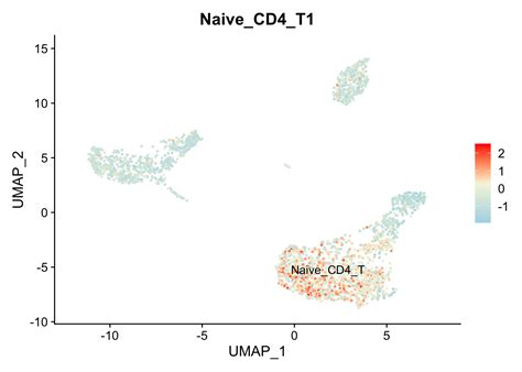 Chapter 10 Singler Scrnaseq Analysis In R With Seurat