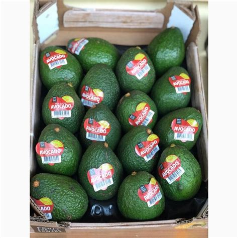 Продам овощи фрукты опт купить овощи фрукты опт Одесская обл — Agro Ukraine