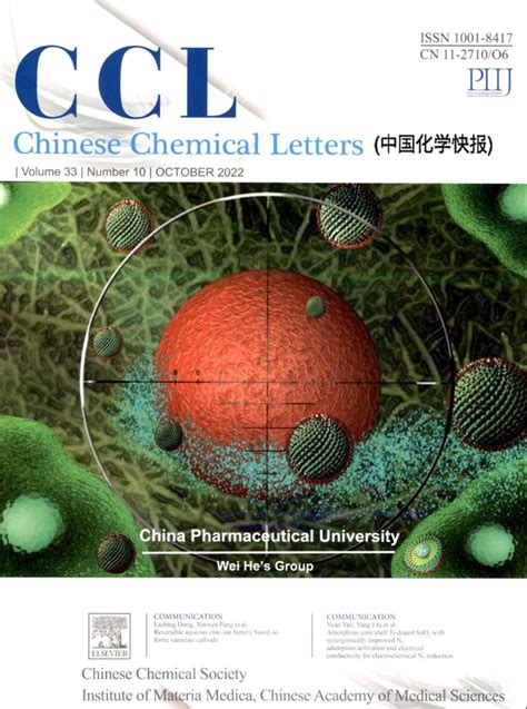 湖北大学电化学储能与转化课题组