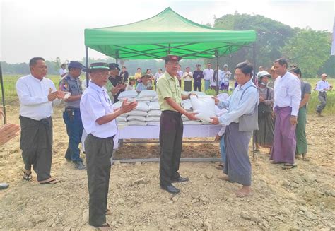 ဇလွန်မြို့နယ်တွင် မြေဆီလွှာဖွံ့ဖြိုးတိုးတက်ရေးအတွက် သစ်စိမ်းမြေဩဇာ ပိုက်ဆံလျှော် မျိုးစေ့ပေးအပ