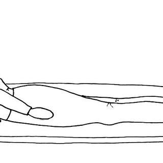 Measuring The BME With Designed Device Download Scientific Diagram