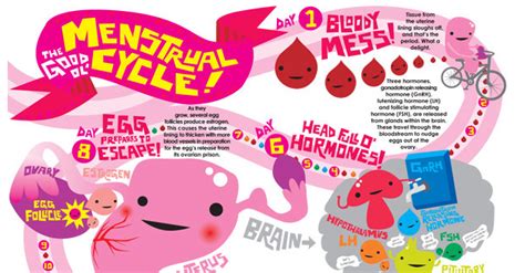 Where The Sex Talk Can Be Fun The New York Times