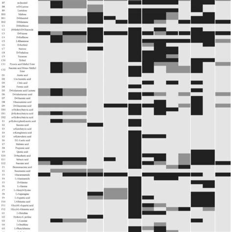 Mapping Of Metabolic Fingerprint Of Fungi From Fukushima It Was Download Scientific Diagram