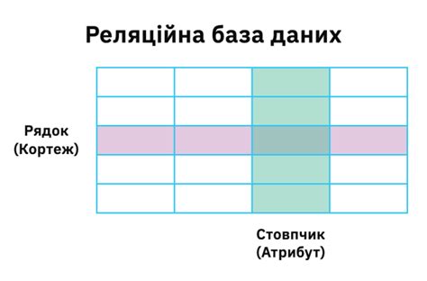 База даних що це таке і навіщо потрібно Hostiq Wiki