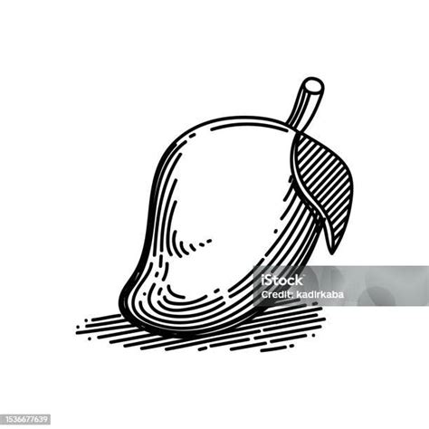 망고 라인 아이콘 스케치 디자인 픽셀 퍼펙트 편집 가능한 스트로크 로고 기호 기호 망고에 대한 스톡 벡터 아트 및 기타 이미지