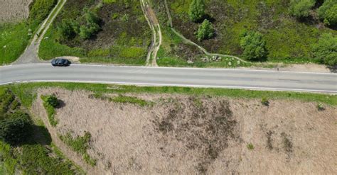 경로들 경치 경치 좋은 길 경치 좋은 전망 경치가 좋은 고요한 배경 고요한 환경 공중 영상 굴곡 도로 그린 벨트 그림 같은 길 나그네 나무 녹지