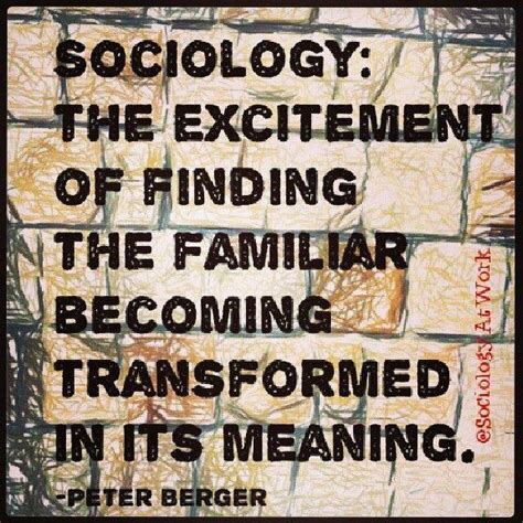 Social Science Insights