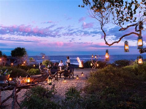 Zoe Nguyen On Linkedin Embracingthebeautyofnature Wearemorethanwhatwedo Branding Marketing