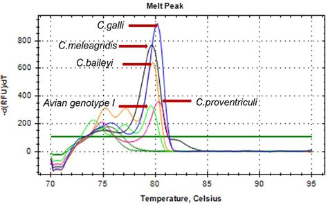 figure 1 from validation of a one tube nested real time pcr assay for