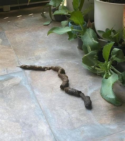 Casper Lin Vlog Casper Lin Vlog Added A New Photo