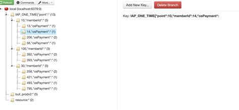 Job Data Is Saved As Redis Key And Job Does Not Run Issue 604