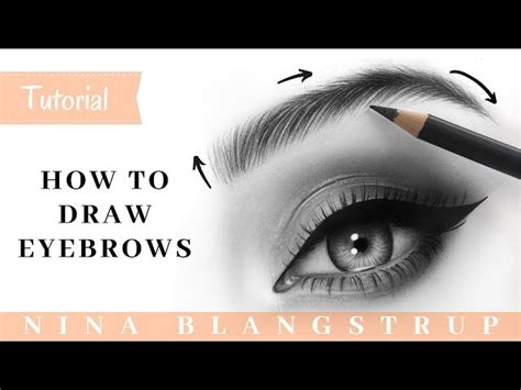 How To Draw Female Eyebrows