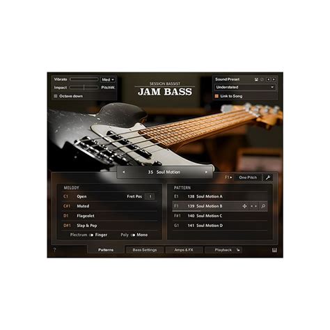 Native Instruments Session Bassist Jam Bass Plugin