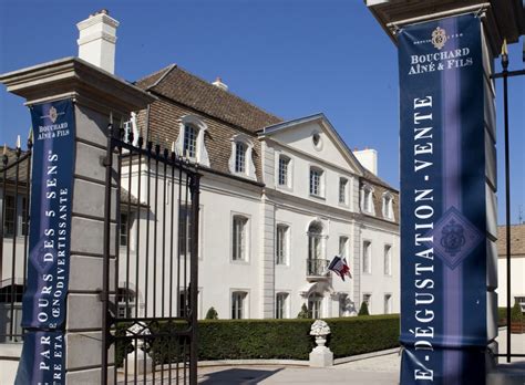 ⛪ 4편 부르고뉴 와이너리 까브 투어 영상