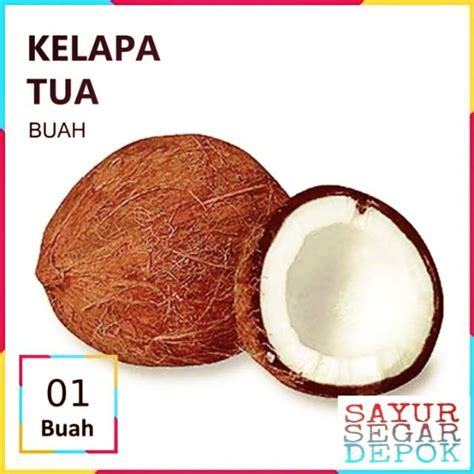 Jual Kelapa Tua 1 Butir Shopee Indonesia