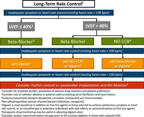 Chest Guidelines For Atrial Fibrillation At Kendra Comer Blog