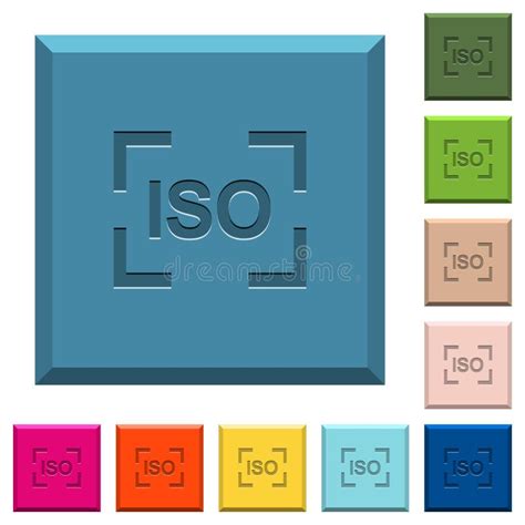 Camera Iso Speed Setting Engraved Icons On Edged Square Buttons Stock Vector Illustration Of