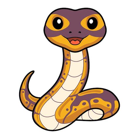 Premium Vector Cute Banana Ball Python Snake Cartoon