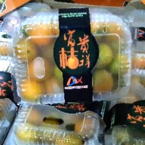 Jual Buah Jeruk Kimkit Madu Segar 1 Pack Buah Jeruk Yang Bisa Dimakan