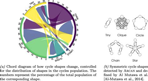 The Cycle Shapes Considered In This Study And How They Change Over Download Scientific Diagram