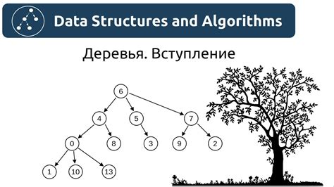 Структуры данных Деревья Вступление Youtube