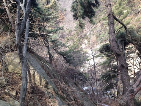 2024沂蒙山云蒙景区蒙山国家森林公园 评论 去哪儿攻略
