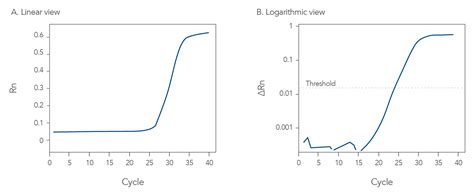Pcr Amplification Graph