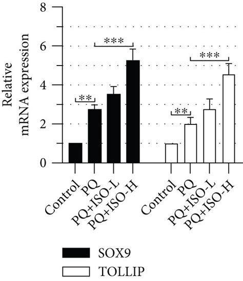 Sry Box Transcription Factor 9 Sox9 Regulates Toll Interacting