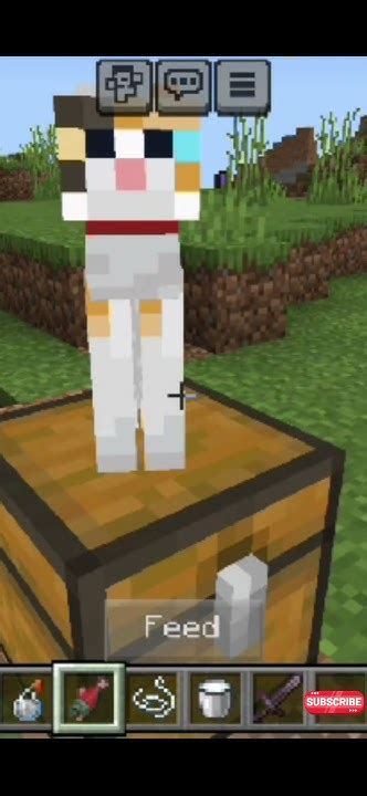 Minecraft Curiosidades Gaming Minecraftshorts Shorts