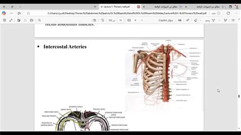 Lecture 1 Part 4 Youtube