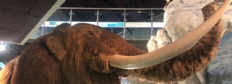 Path Of The Mastodon San Bernardino County Museum