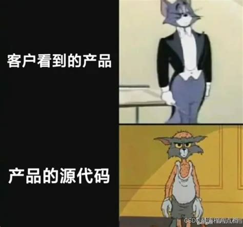【程序员才懂的梗】全程高能 爆笑硬核 你中了几个 程序员的日常 搞笑瞬间 python梗图 csdn博客