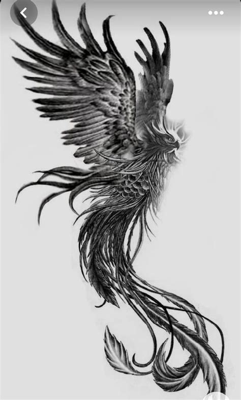Black White Phoenix Tattoos