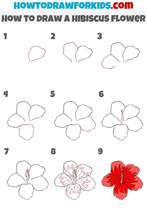 Hibiscus Flower Drawing Easy