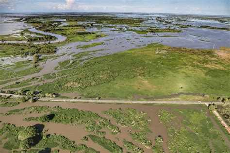 Contaminación Por Metales Pesados Un Lastre Para La Seguridad