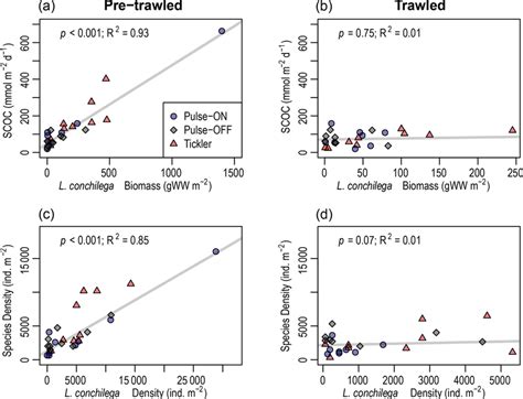 Robust Regression Analysis Of Sediment Community Oxygen Consumption Download Scientific Diagram