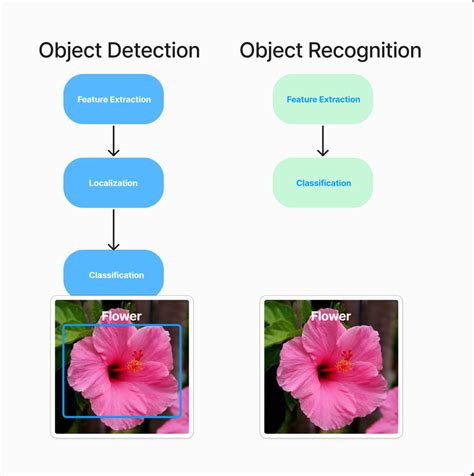 Object Detection With Opencv A Step By Step Tutorial Askpython