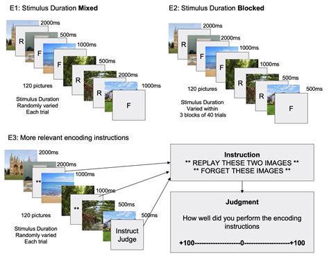 Try To Forget This Image The Role Of Stimulus Duration In Directed